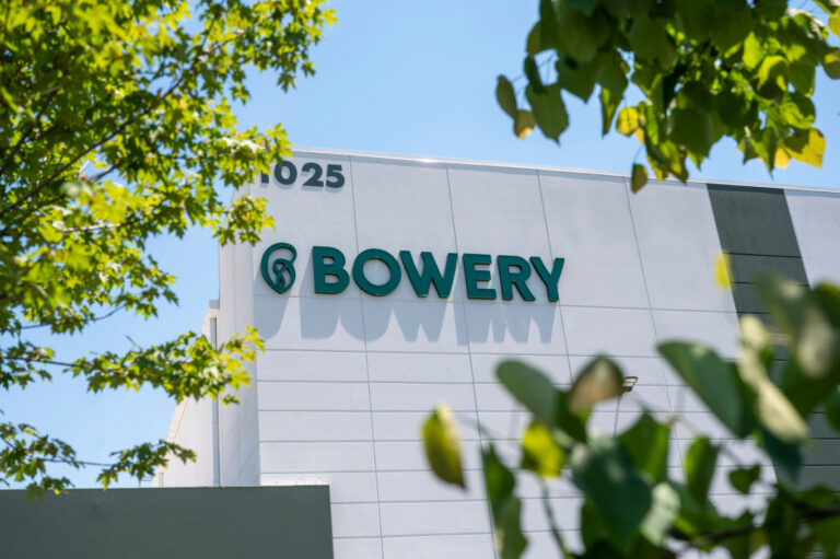 What Is Indoor Vertical Farming, And Why Is Bowery Your New Best Friend ...